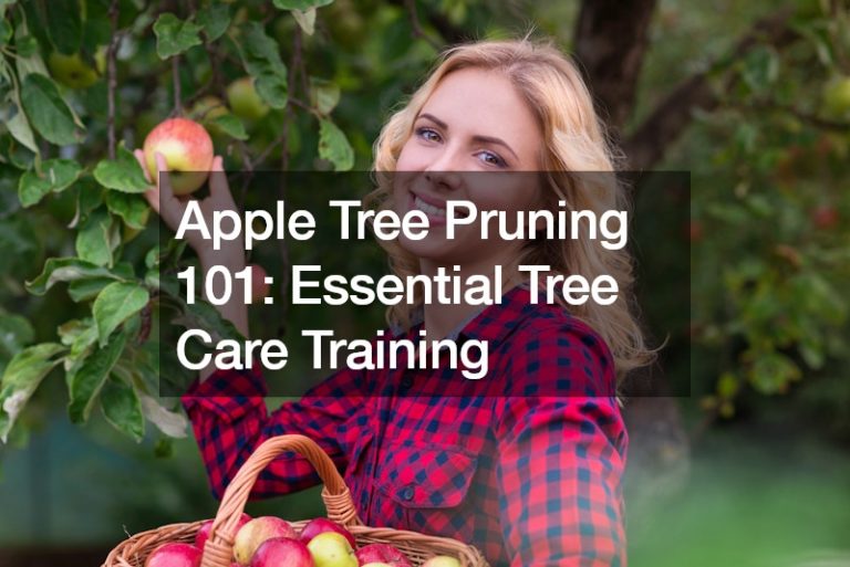 Apple Tree Pruning 101 Essential Tree Care Training - Backyard Landscaping Ideas Newsletter